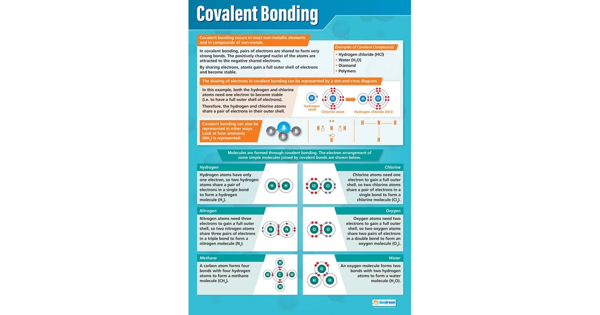 Covalent Bonding Poster - Daydream Education