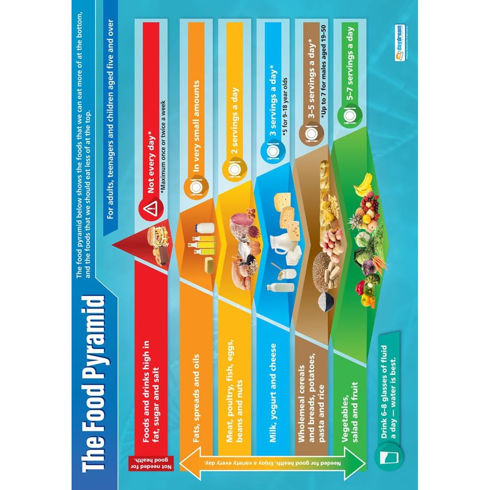 The Food Pyramid Poster - Daydream Education