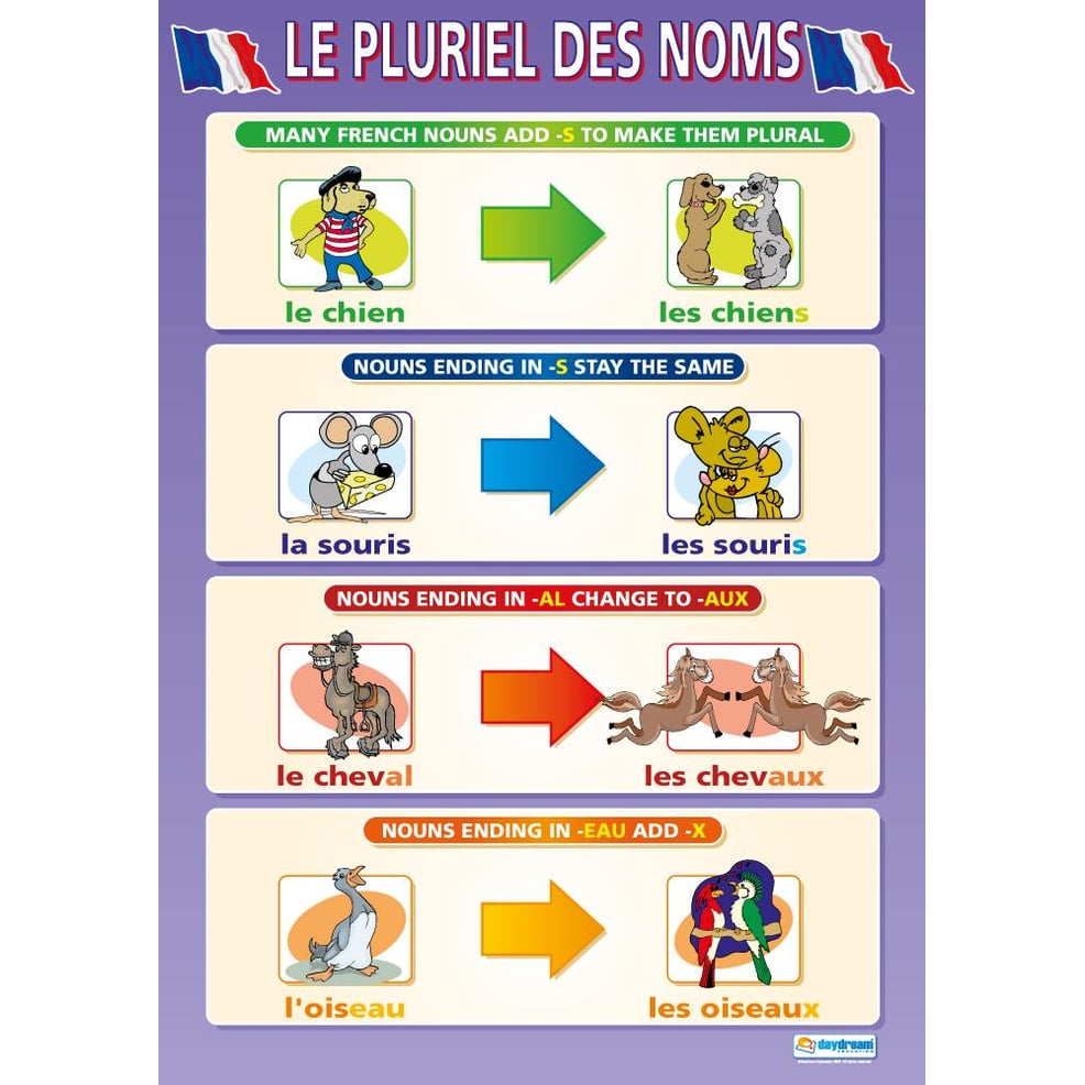 Le Pluriel des Noms Poster - Daydream Education