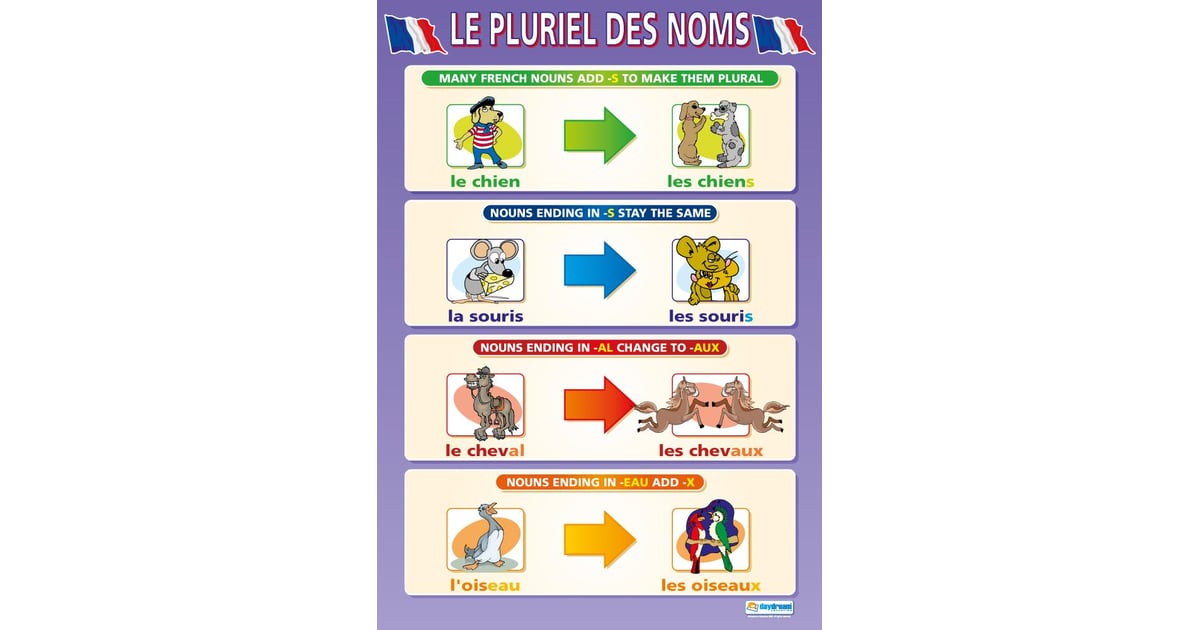 Le Pluriel des Noms Poster - Daydream Education