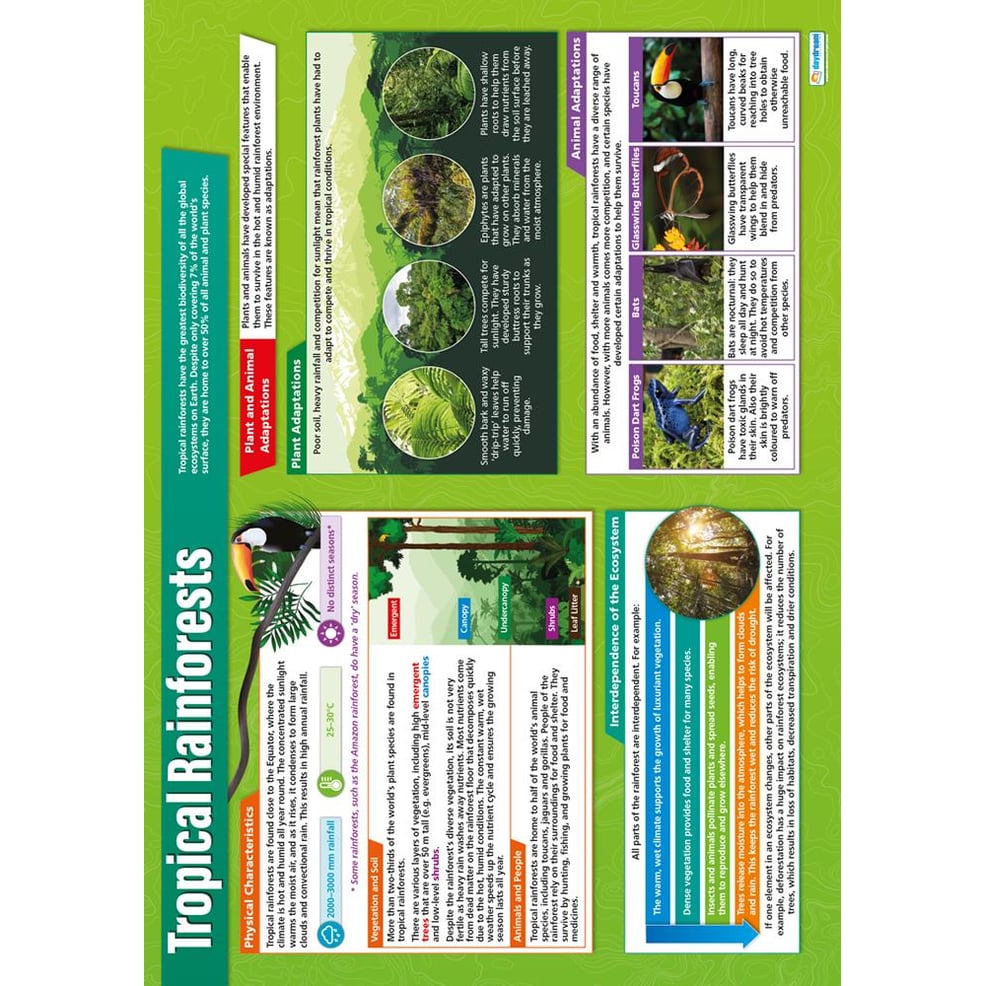 Tropical Rainforests Poster - Daydream Education