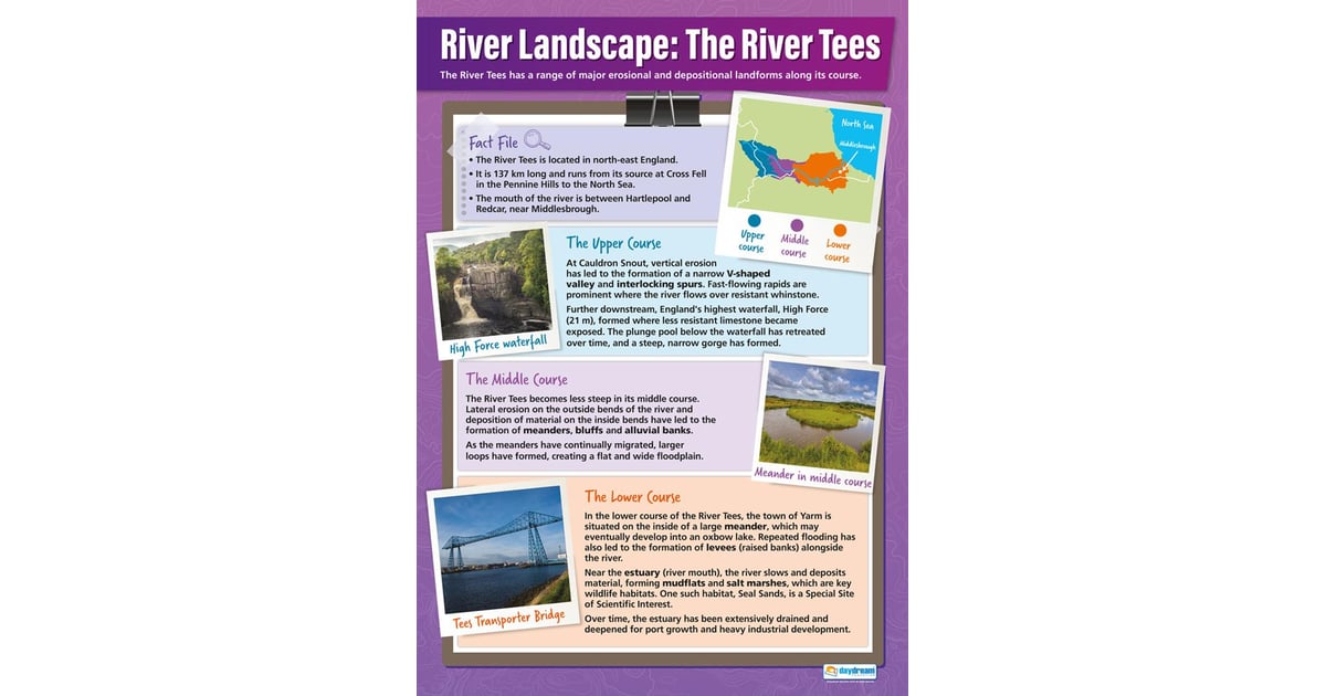 River Landforms Example: The River Tees Poster - Daydream Education