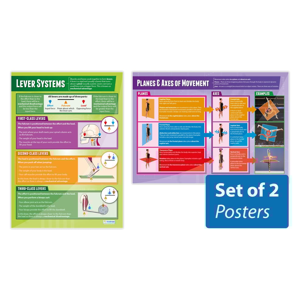 Movement Analysis Posters - Set of 2 - Daydream Education