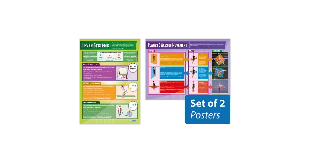 Movement Analysis Posters - Set of 2 - Daydream Education
