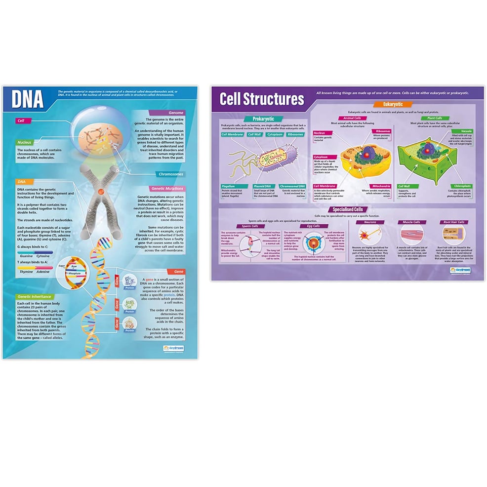 DNA and Cell Structure Posters - Set of 2 - Daydream Education