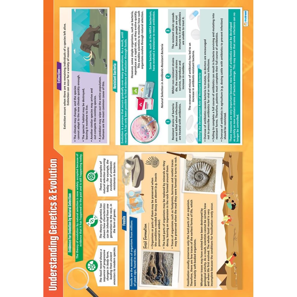 Understanding Genetics & Evolution Poster - Daydream Education