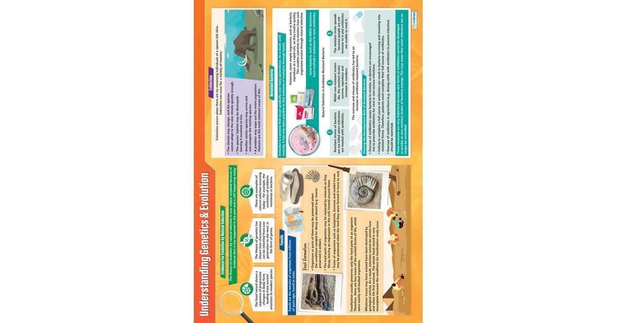 Understanding Genetics & Evolution Poster - Daydream Education