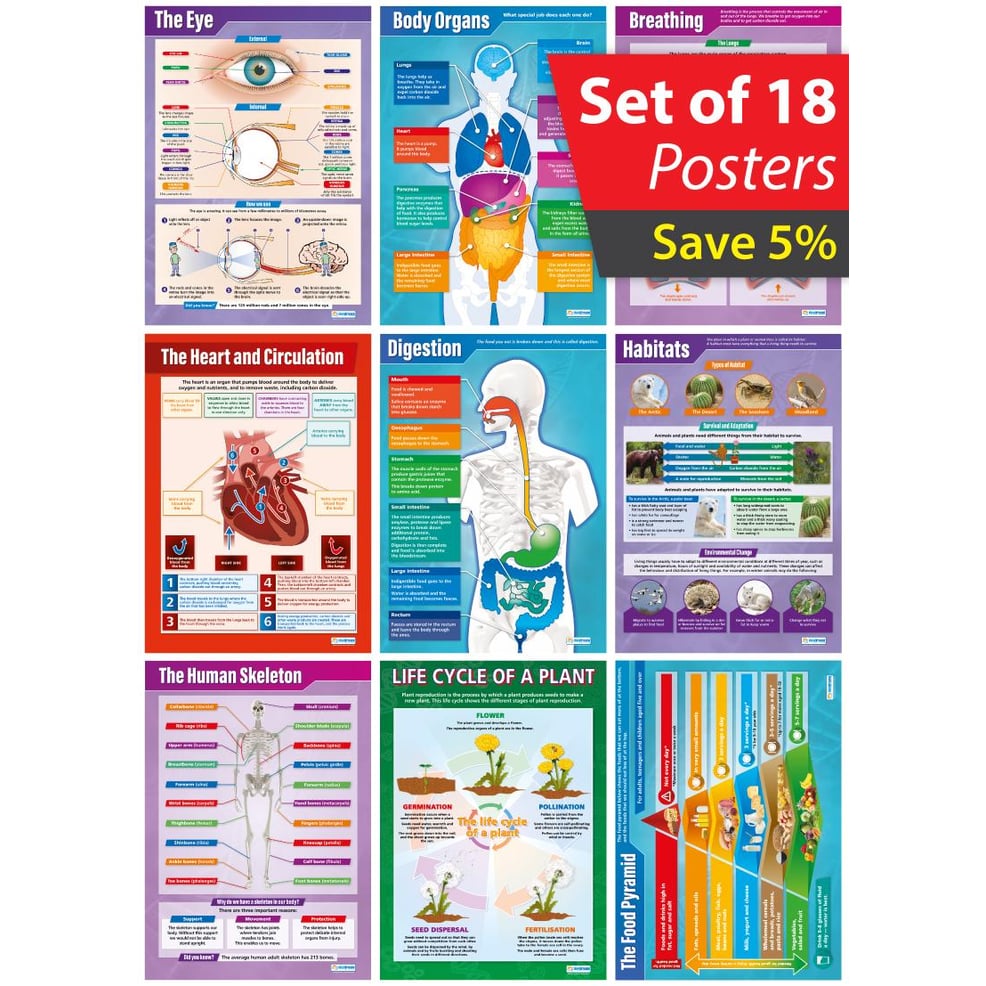 Life Processes and Living Things Poster - Set of 18 - Daydream Education