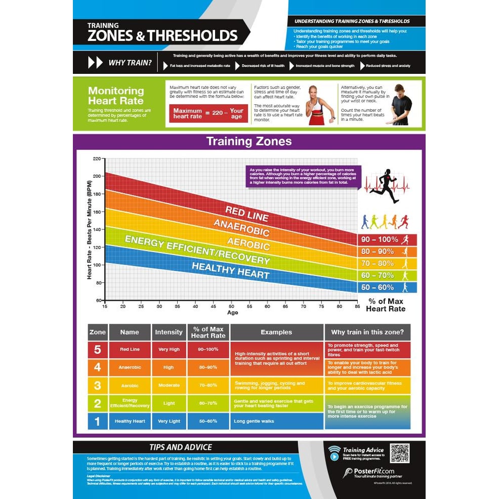 Training Zones and Thresholds Poster - Innovative Gym & Fitness Charts