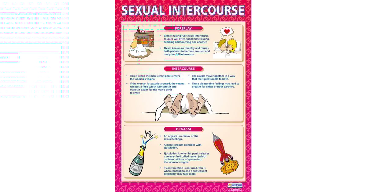 Sexual Intercourse Poster - Daydream Education