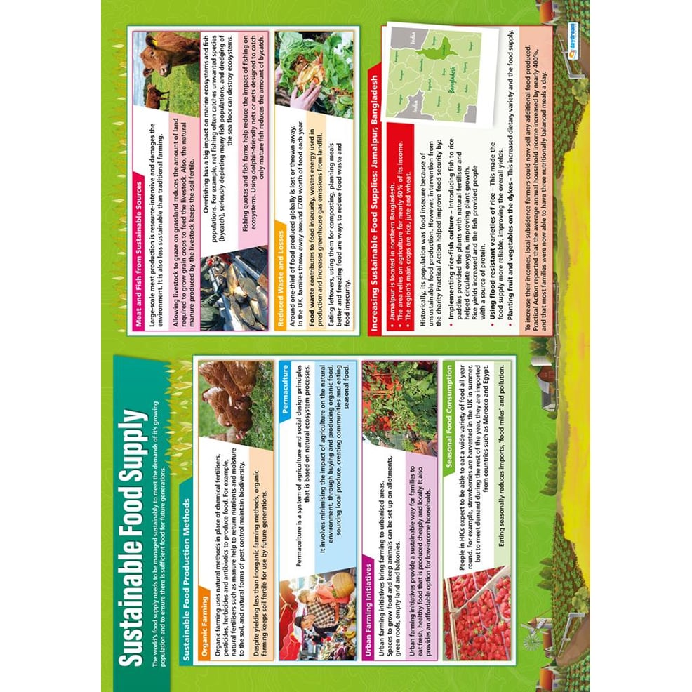 Sustainable Food Supply Poster - Daydream Education