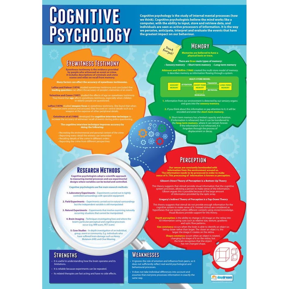 Cognitive Psychology Poster - Daydream Education
