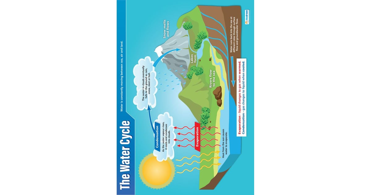 The Water Cycle Poster - Daydream Education