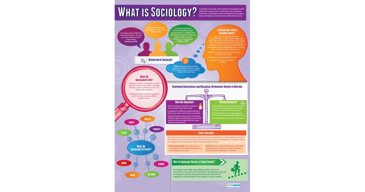 What is Sociology? Poster - Daydream Education