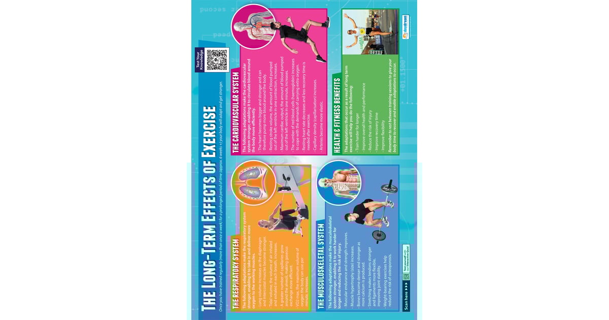 The Long-Term Effects of Exercise Poster - Daydream Education
