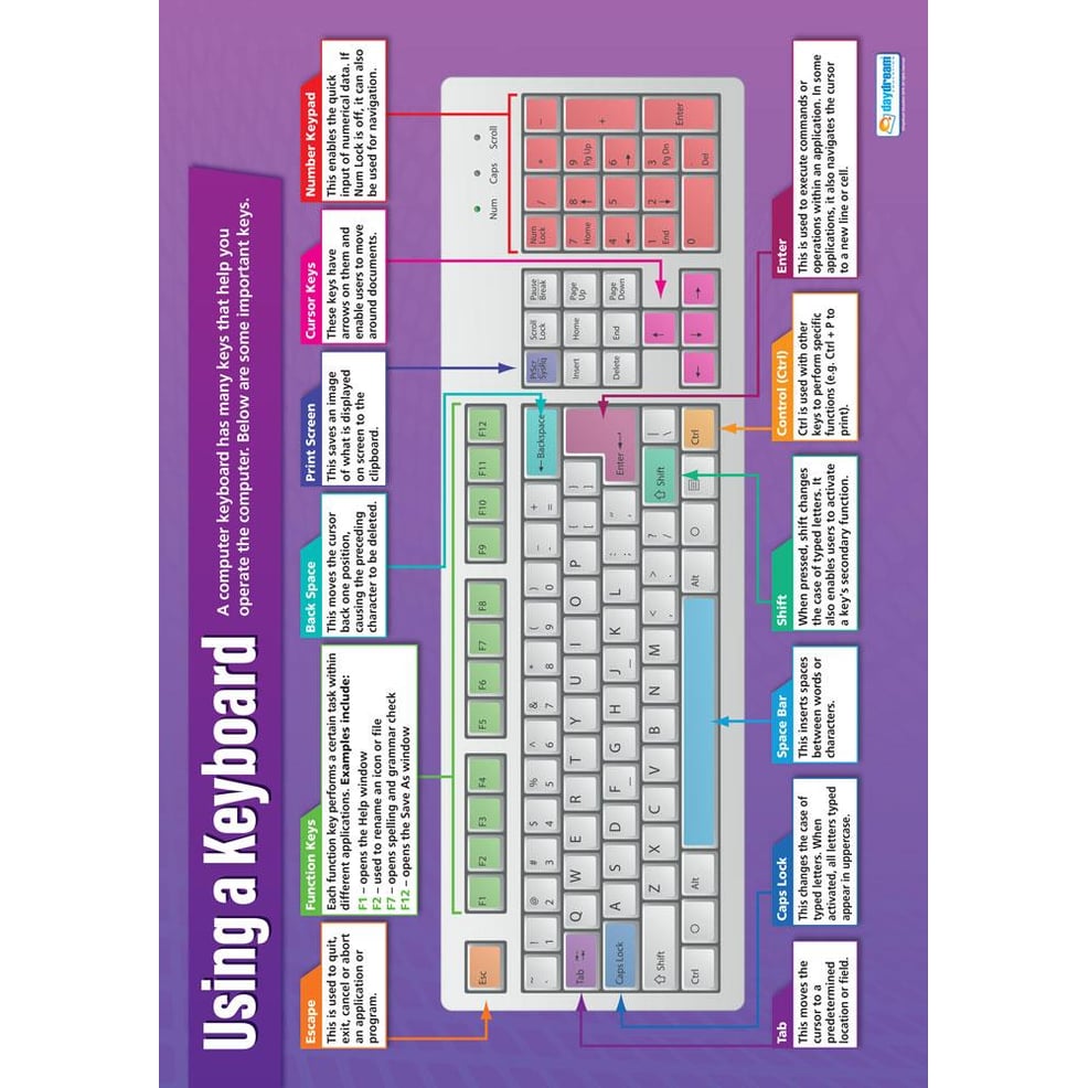 Using a Keyboard Poster - Daydream Education