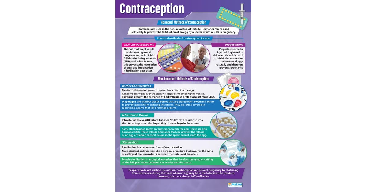 Contraception Poster - Daydream Education