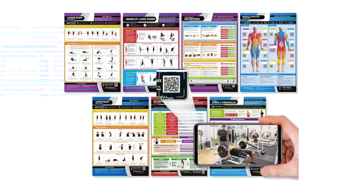 Body Conditioning Posters - Set of 7 - Innovative Gym & Fitness Charts