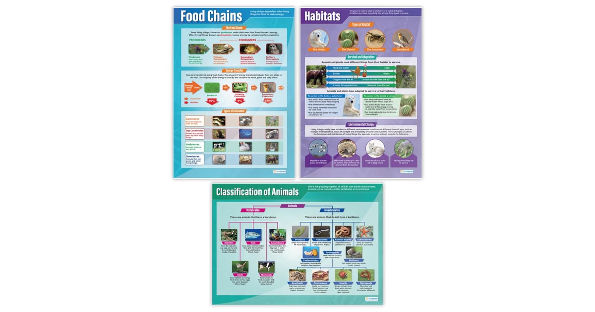 Habitats 2 Posters - Set of 3 - Daydream Education