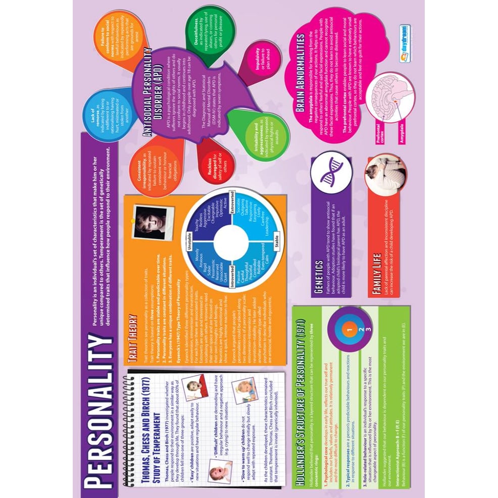 Personality Poster - Daydream Education