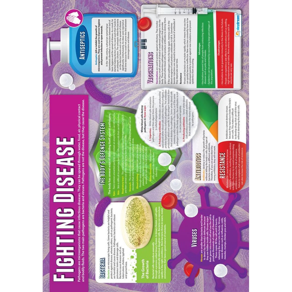 Fighting Disease Poster - Daydream Education