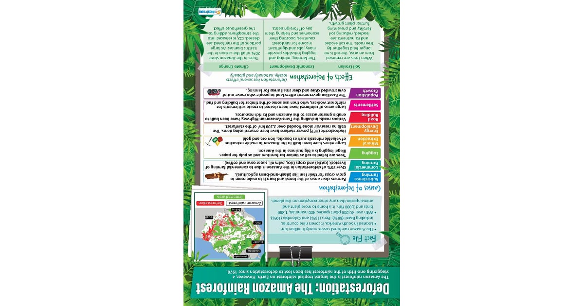 Deforestation: The Amazon Rainforest Poster - Daydream Education