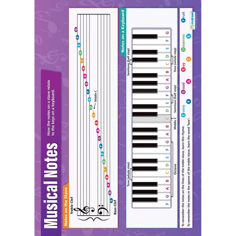 Musical Notes Poster - Daydream Education