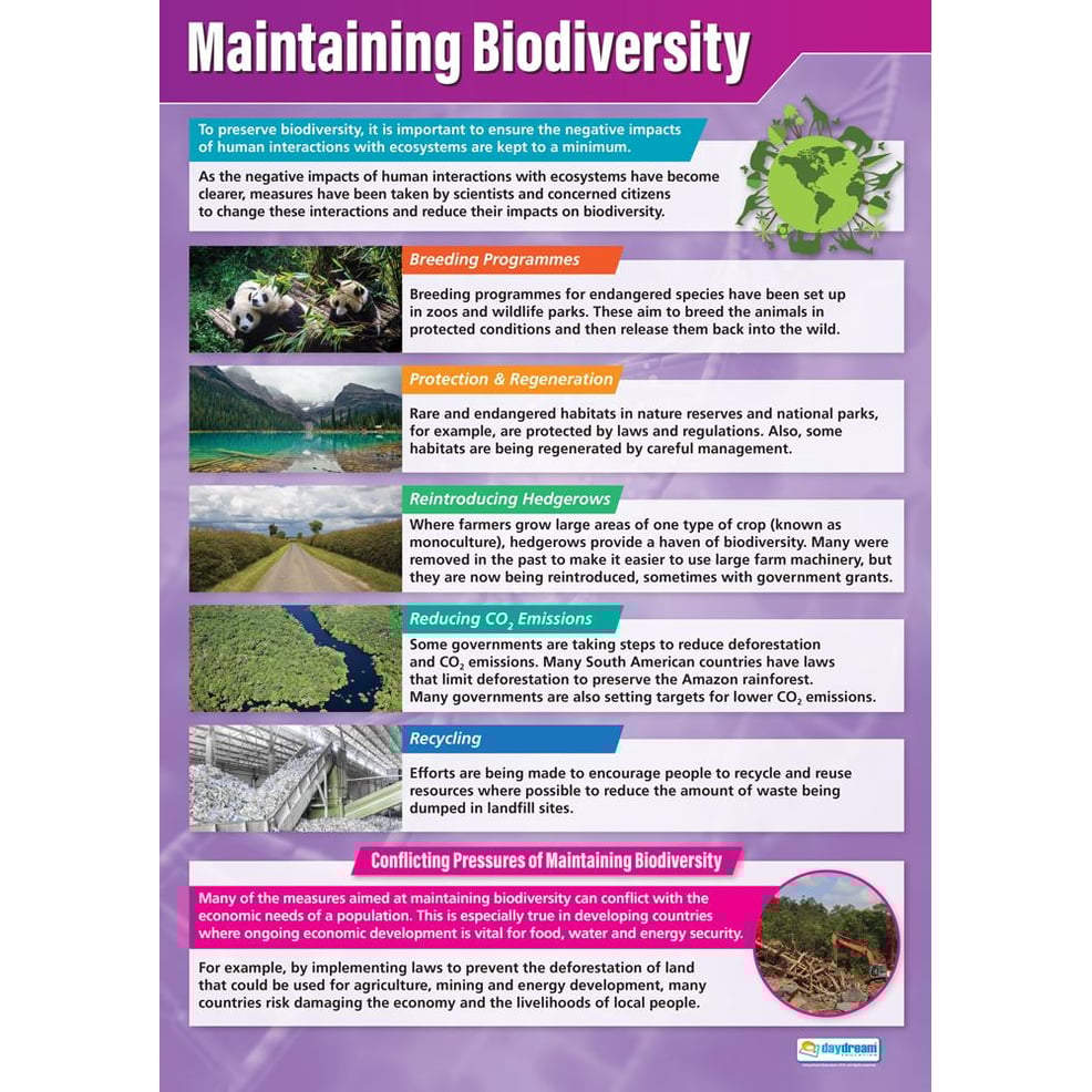 Maintaining Biodiversity Poster - Daydream Education