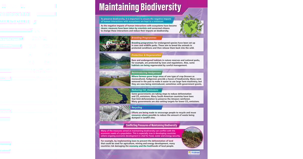 Maintaining Biodiversity Poster - Daydream Education