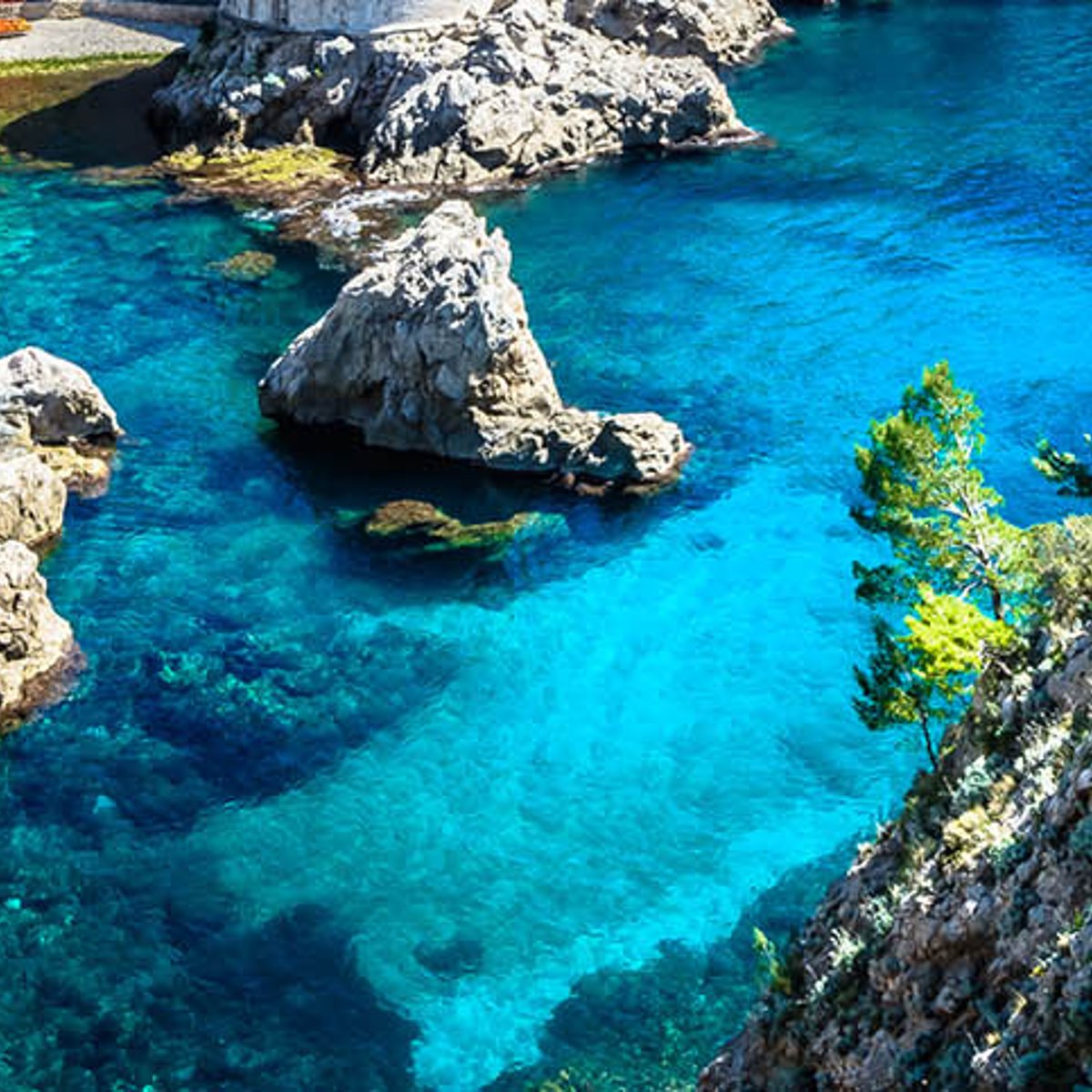 Dubrovnik Airport Transfers (DBV) | Transfer Transfeero