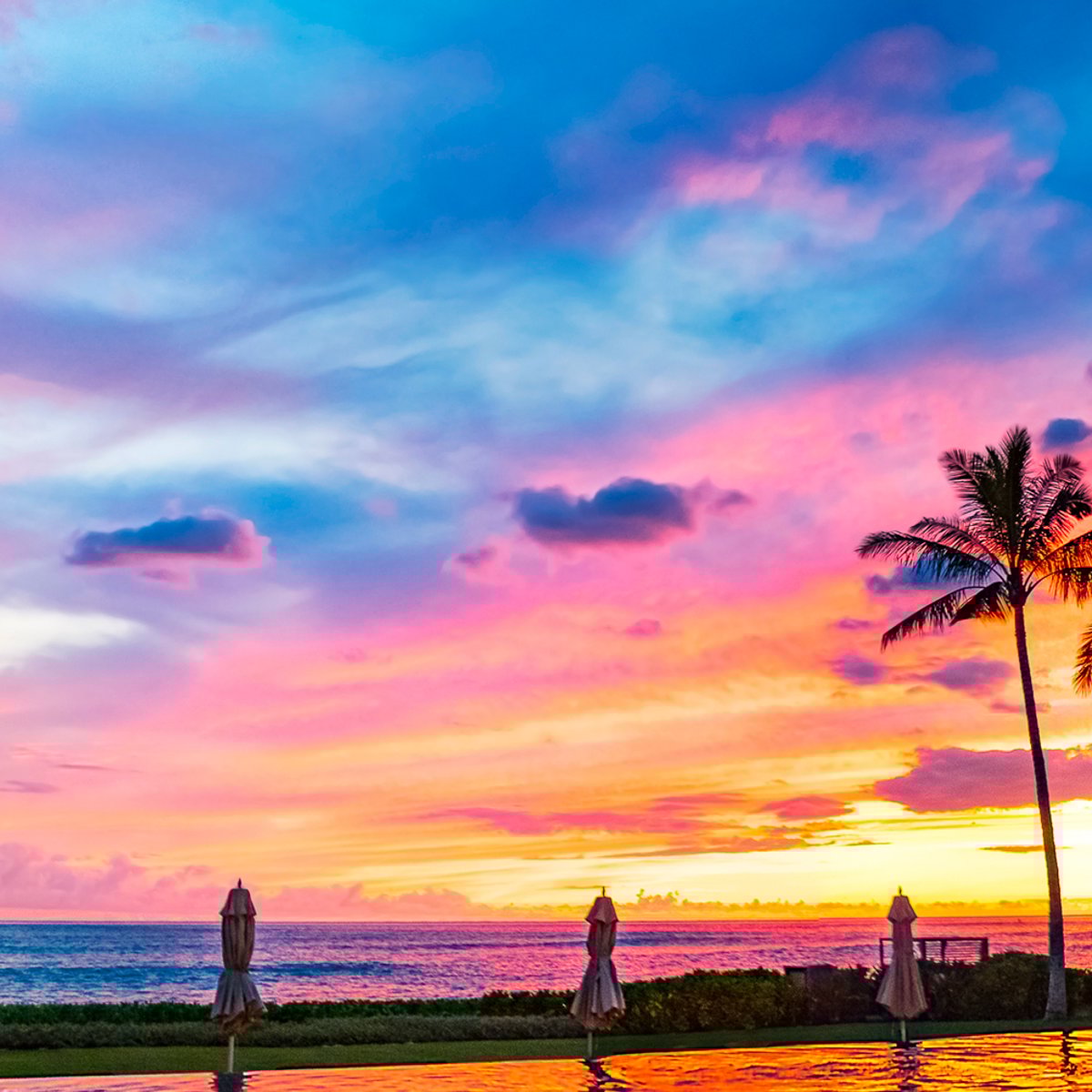 Honolulu Airport Transfers - Private Car Service | Transfeero