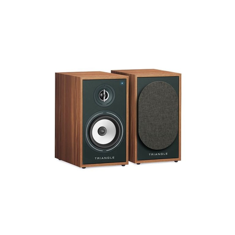 Enceinte connectée HiFi sans fil Bluetooth Borea BR02 BT Chêne Vert ...