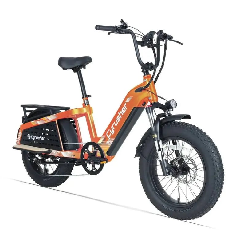 VéLo Électrique Glider | Moteur 250W | Batterie 52V 15.6Ah | Pneus 20 ...