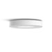 Philips Hue White and Color ambiance 4116431P9 Éclairage de plafond ...