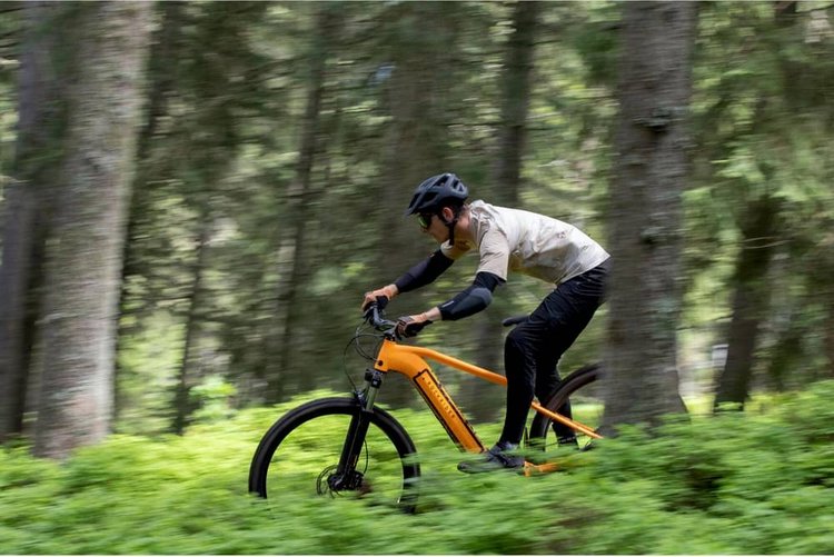 ROCKRIDER 29" HARDTAIL ELECTRIC MOUNTAIN BIKE E-EXPL 520 2023 - Review ...