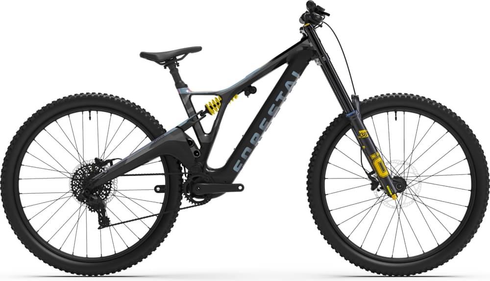 FORESTAL HYDRA DIODE 2022 - Review, Test & Price