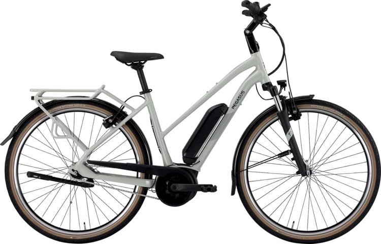 Pegasus Solero E8 Plus Test