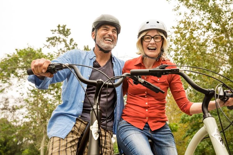 ELECTRA TOWNIE GO! 7D (2020) | Test, Reviews & Price