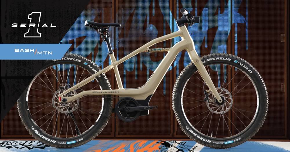 SERIAL 1 BASH/MTN 2022 - Test, Reviews & Prijs