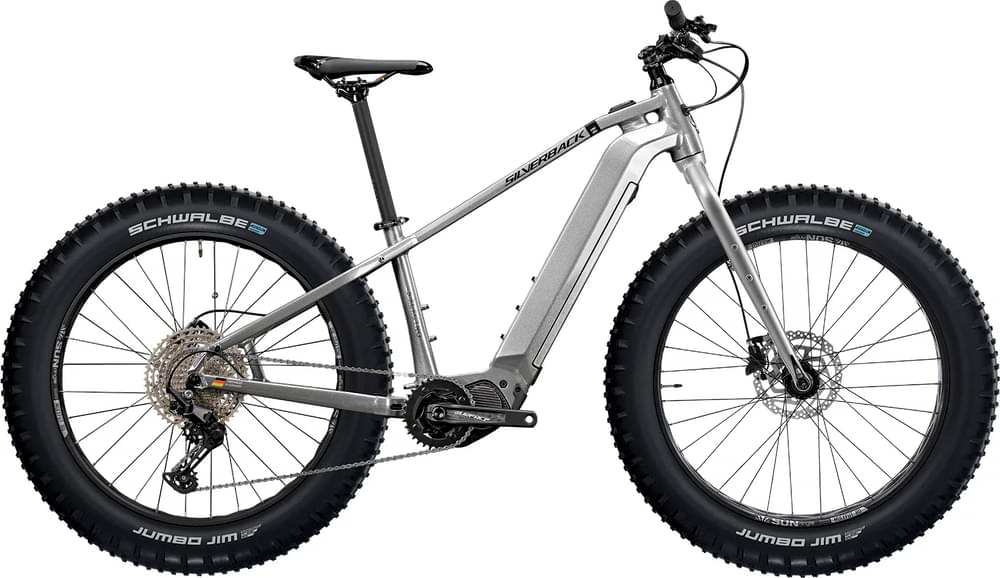SILVERBACK S-ELECTRO DIAMOND FAT SPORT 2024 - Review, Test & Price