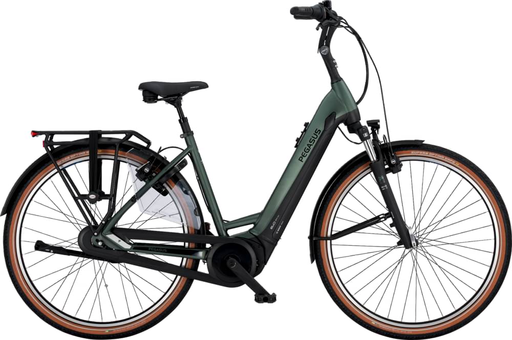 PEGASUS RAVENNA 7F NL WAVE 2023 - Review, Test & Price