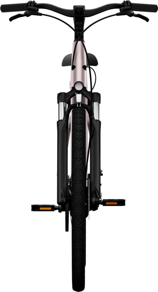 TENWAYS CGO800S DUTCH STEP-THROUGH E-BIKE 2024 - Test, Avis et Prix
