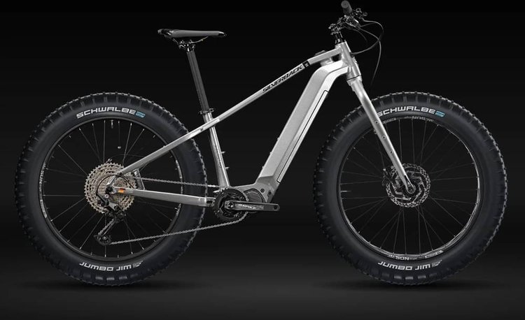 SILVERBACK S-ELECTRO DIAMOND FAT SPORT 2024 - Test, Avis et Prix