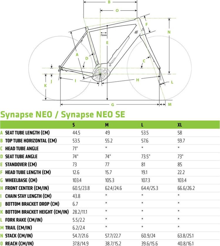 CANNONDALE SYNAPSE NEO 2 2019 - Test, Gewicht & Review