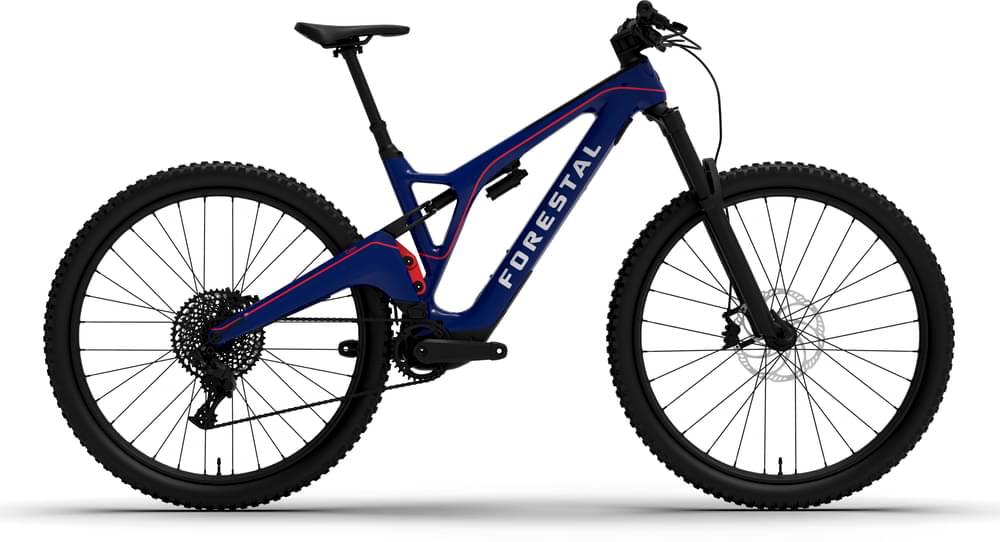 Test and reviews of the e-bike Emtb Forestal Cyon Neon PRO (2024 ...