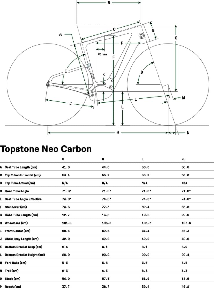 CANNONDALE TOPSTONE NEO CARBON 4 | Test, Reviews & Price