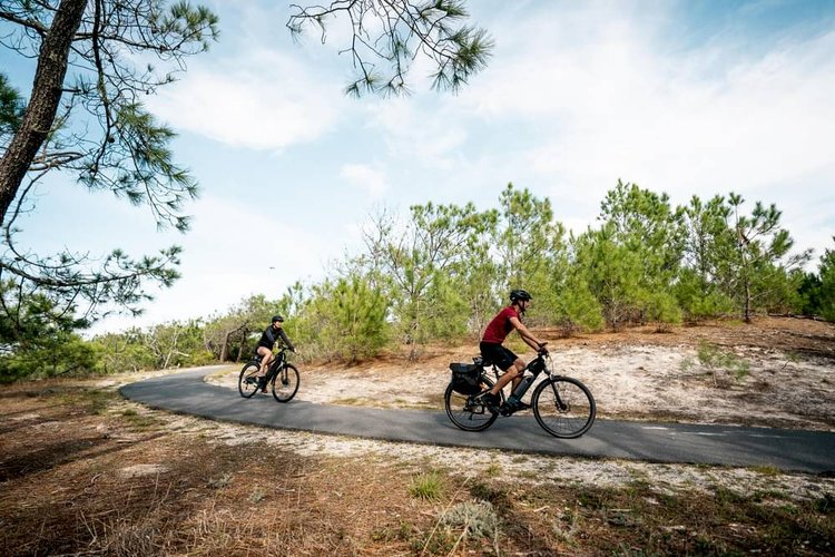 RIVERSIDE SHIMANO 60 NM MOTOR, LONG-DISTANCE ELECTRIC HYBRID BIKE 2023 ...