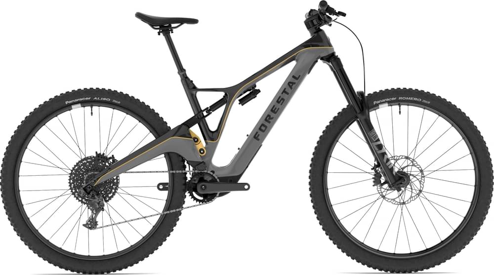 FORESTAL SIRYON HALO 2022 - Test, Avis et Prix