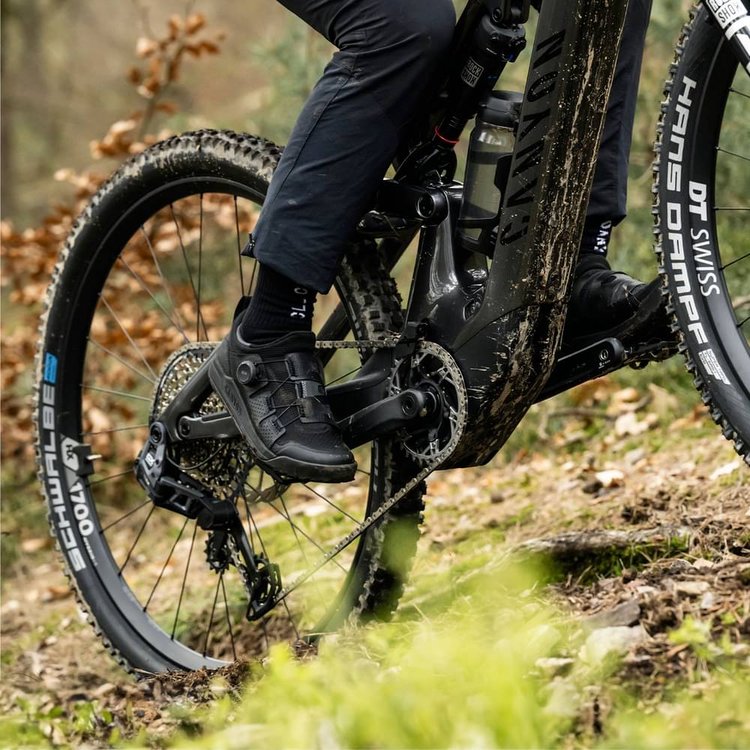 CANYON NEURON:ONFLY CF 7 (2024) | Test, Avis et Prix