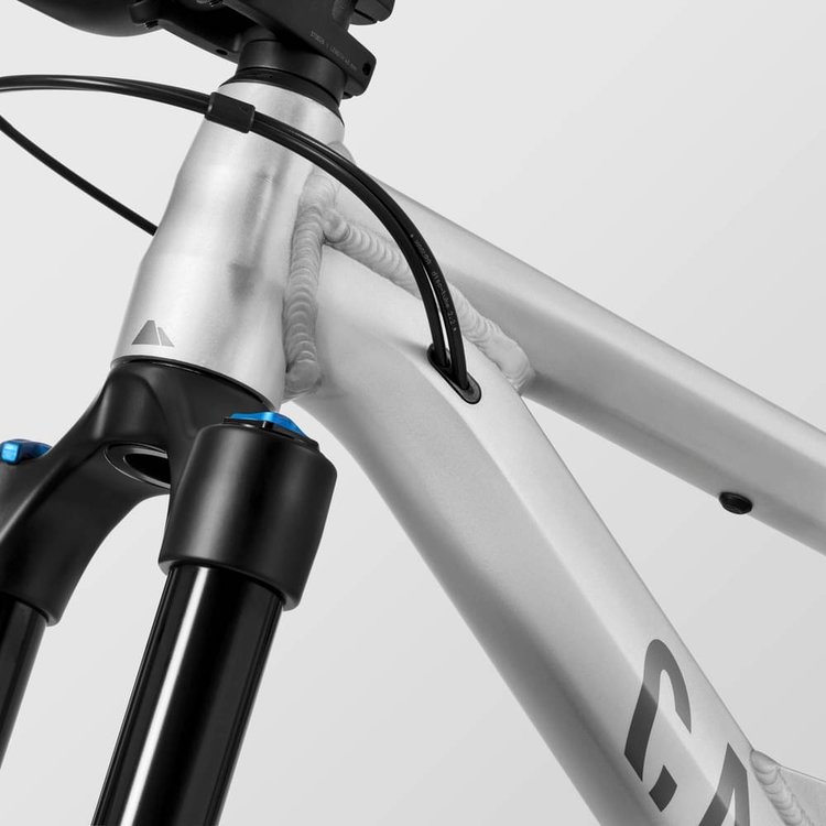 CANYON TORQUE 5 2025 - Review, Specs & Price